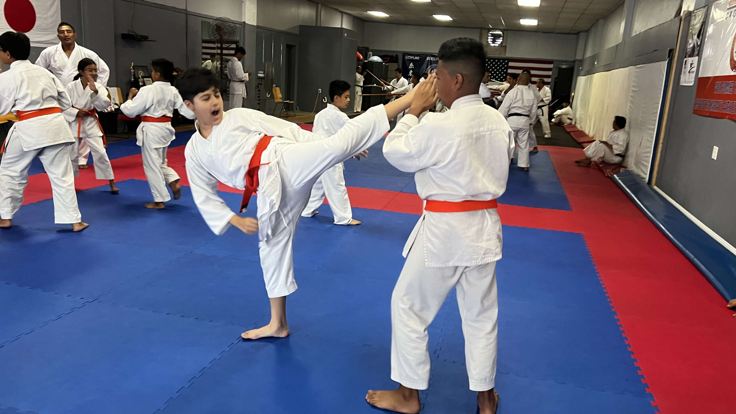 Shito-Ryu Karate: A Traditional Japanese Martial Art. - TASK - Karate ...